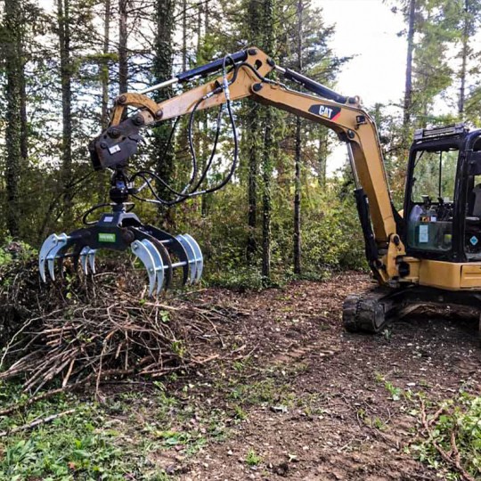 Grappin forestier multifonction